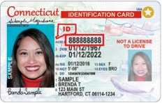 Dept. of Motor Vehicles - Connecticut