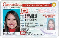 Dept. of Motor Vehicles - Connecticut